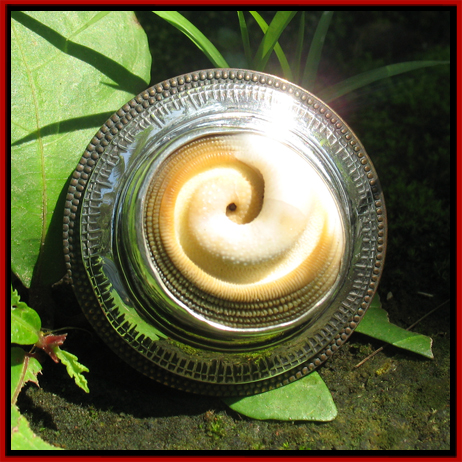 Tabra combines sacred symbols with semi-precious stones